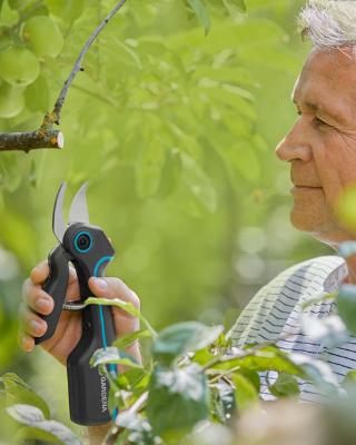 AssistCut–Trocarami a batteria - GARDENA